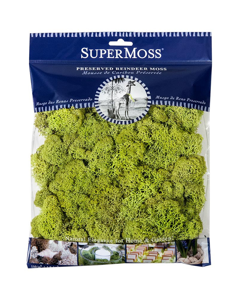 SuperMoss Reindeer Moss Preserved Chartreuse - 4oz – Armstrong Garden ...
