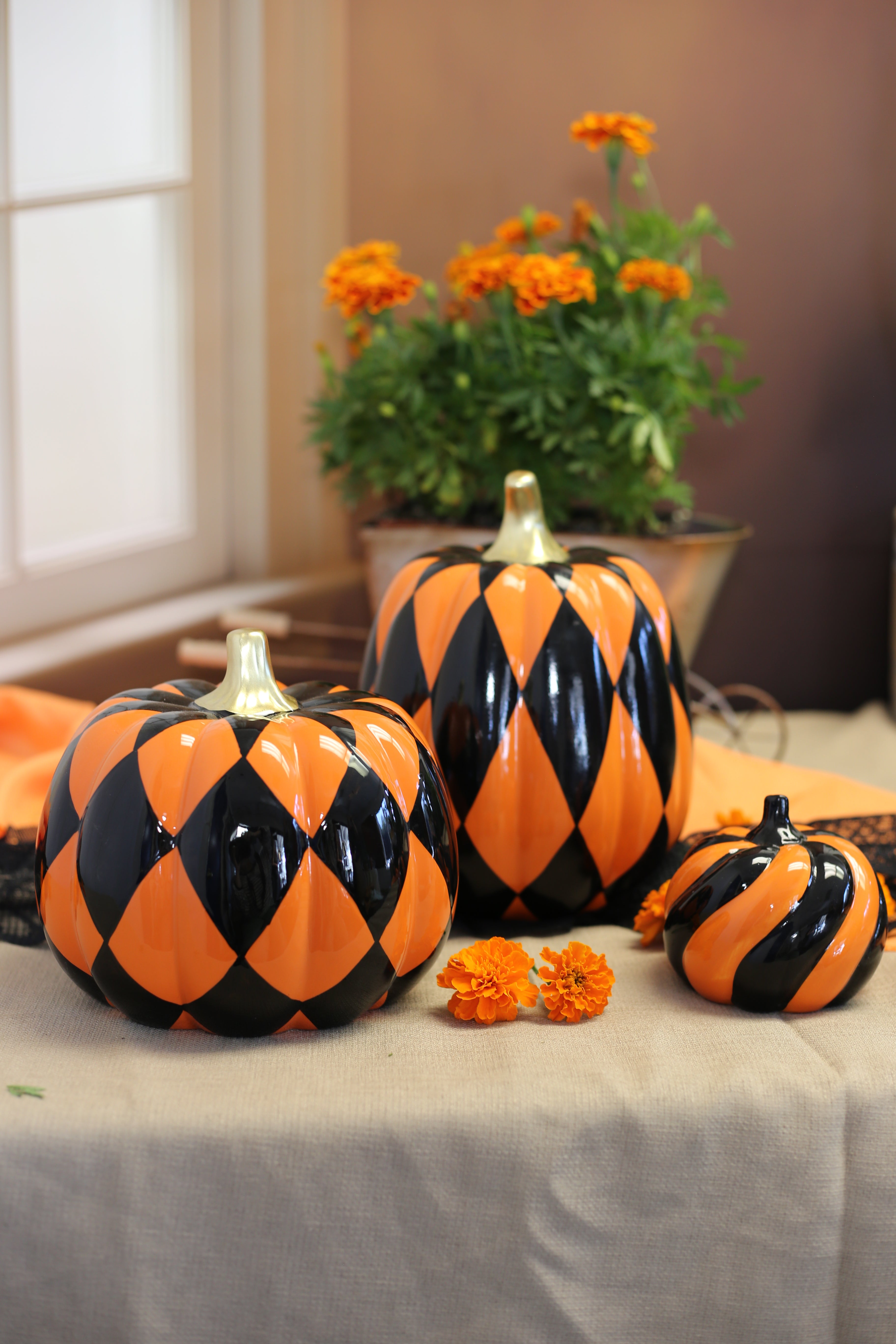 Black & Orange Pattern Pumpkins – Armstrong Garden Centers