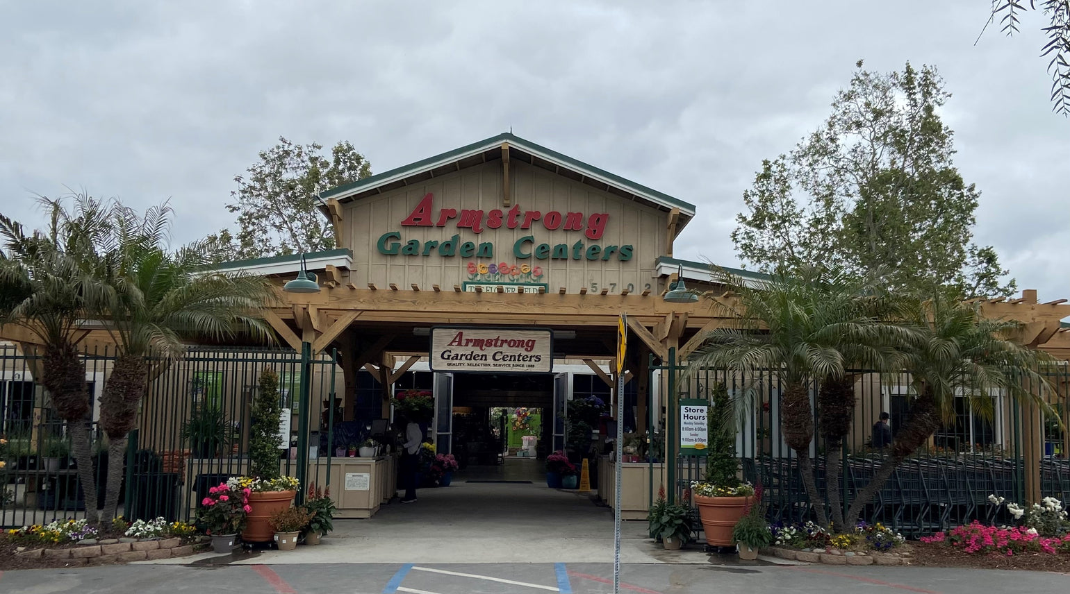 Little Ragu® Sweet Bay - Monrovia – Armstrong Garden Centers