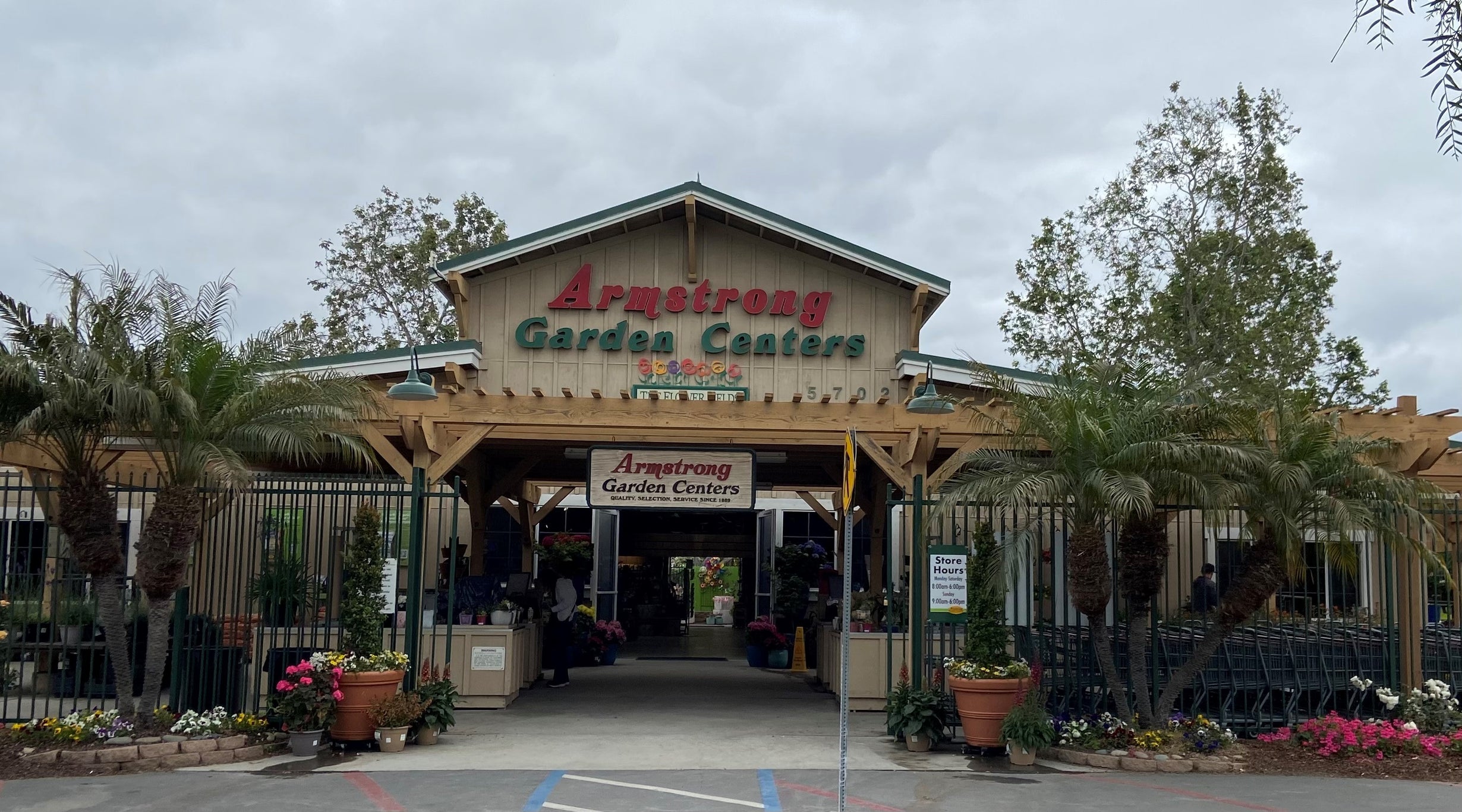 Little Ragu® Sweet Bay - Monrovia – Armstrong Garden Centers