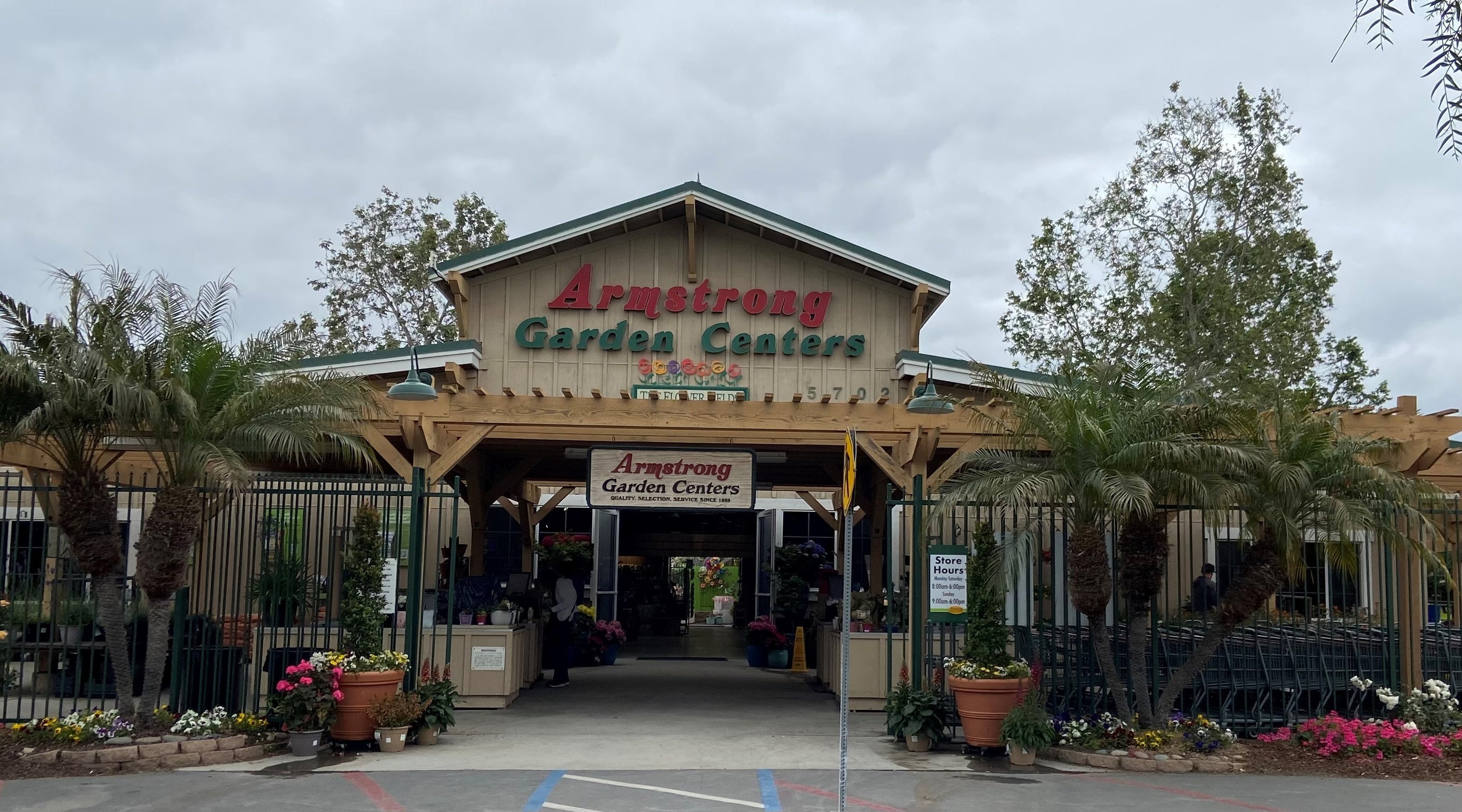 Little Ragu® Sweet Bay - Monrovia – Armstrong Garden Centers