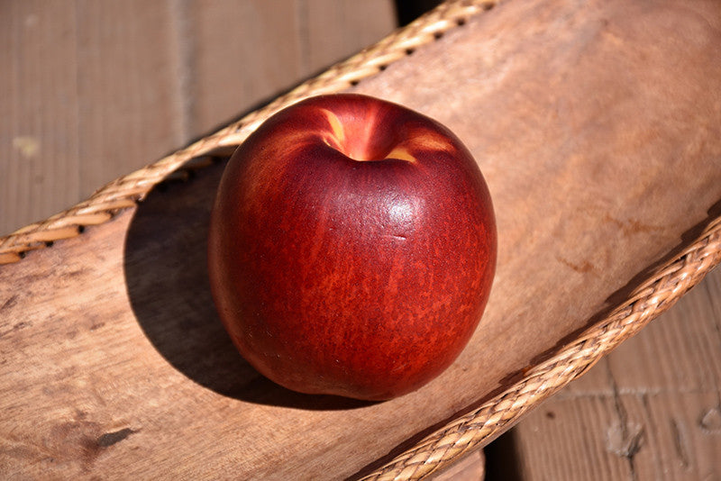 Double Delight Nectarine – Armstrong Garden Centers