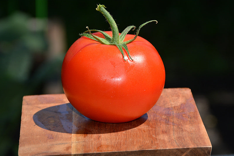 Legend Tomato – Armstrong Garden Centers