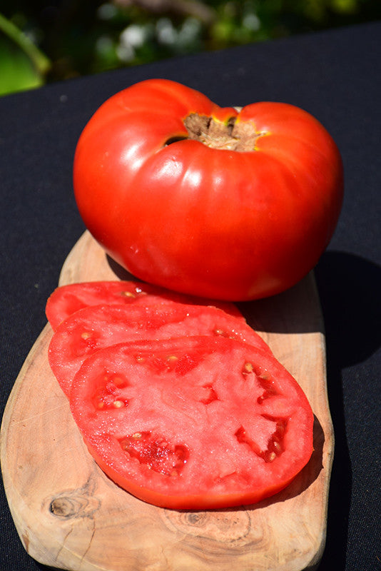 Brandywine Red Tomato – Armstrong Garden Centers