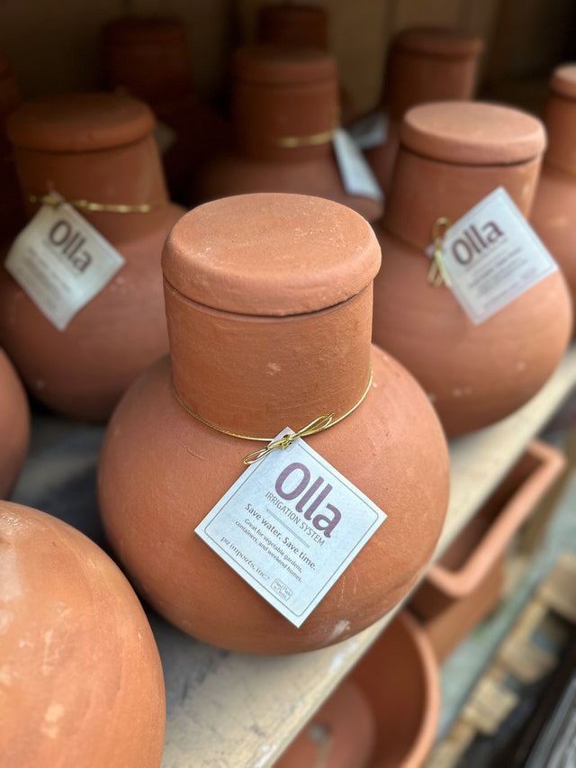 Olla Watering System for Garden Beds - 2 gallon – Armstrong Garden Centers