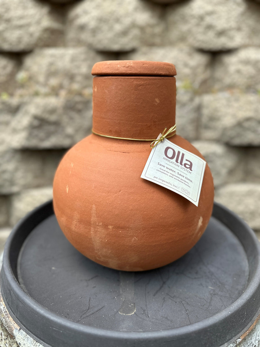 Olla Watering System for Garden Beds - 2 gallon – Armstrong Garden Centers