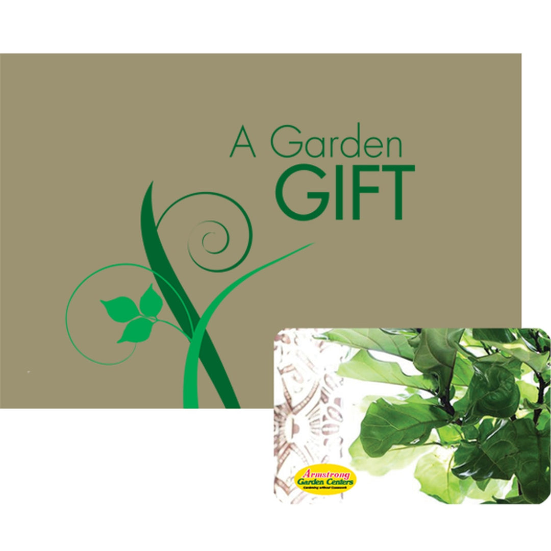 Fiddle Leaf Fig Gift Card by Mail – Armstrong Garden Centers