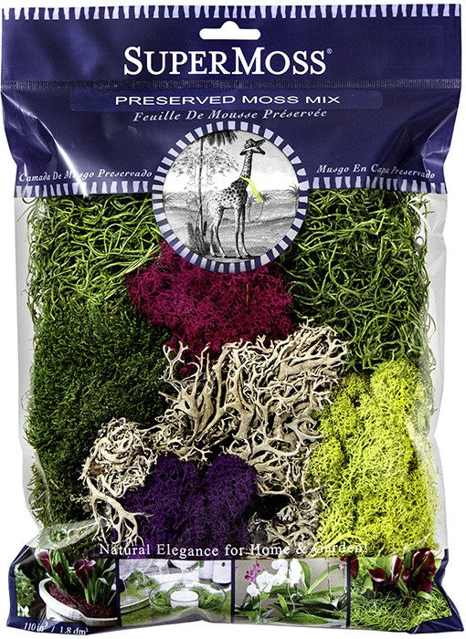 SuperMoss Moss Preserved Mix - 4oz – Armstrong Garden Centers